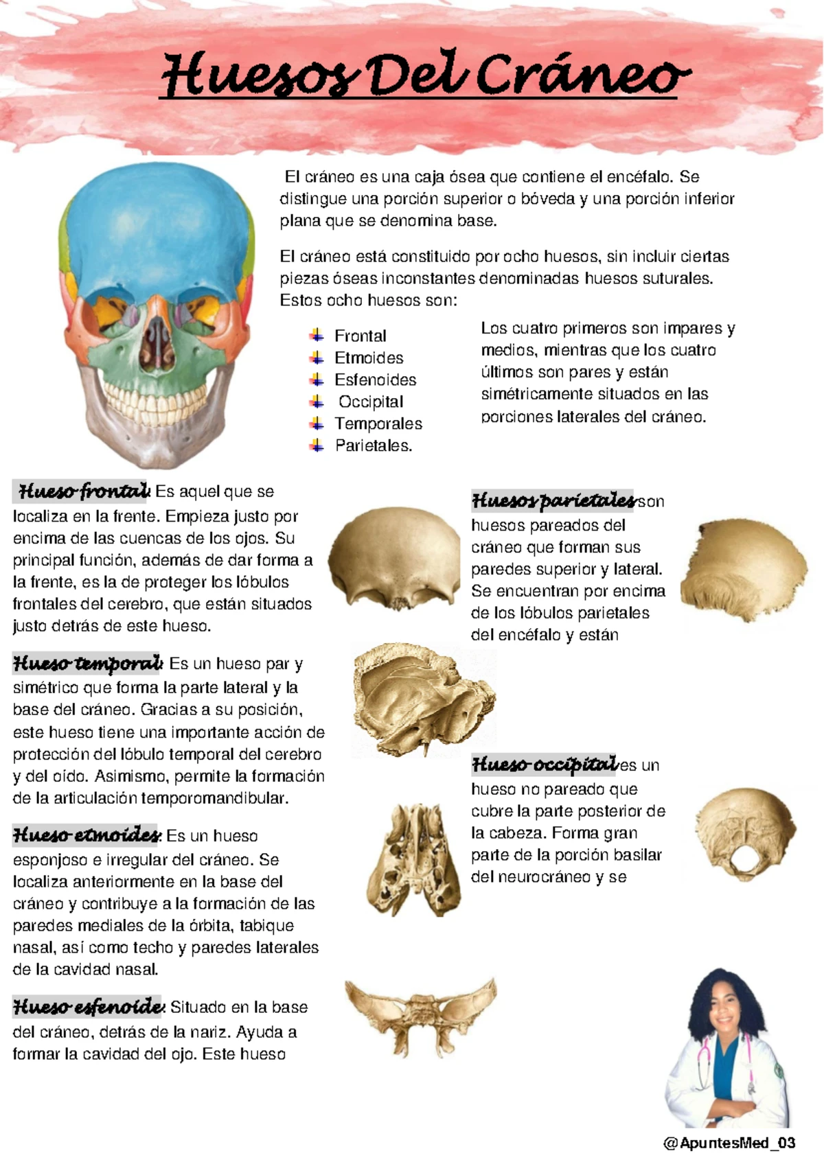 Exploración Clínica: Examen Físico de Cabeza y Cuello - Studocu