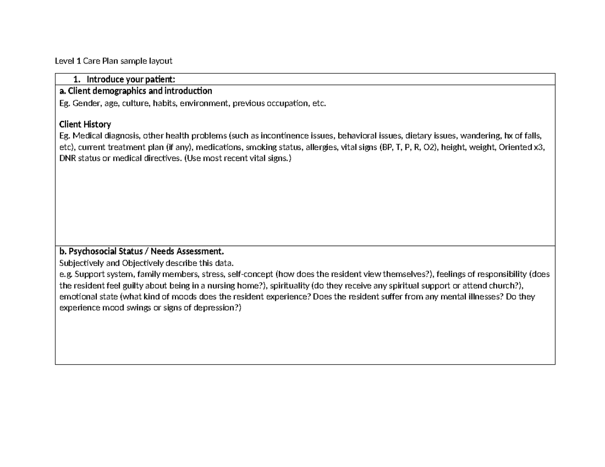 NSG5112P Level 1 Care Plan Sample Layout and Guidelines - Studocu