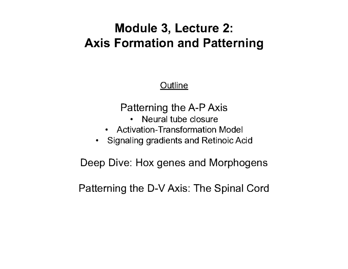 Neuroscience M101B (W2025) Lecture 2: Axis Formation & Neural Tube ...
