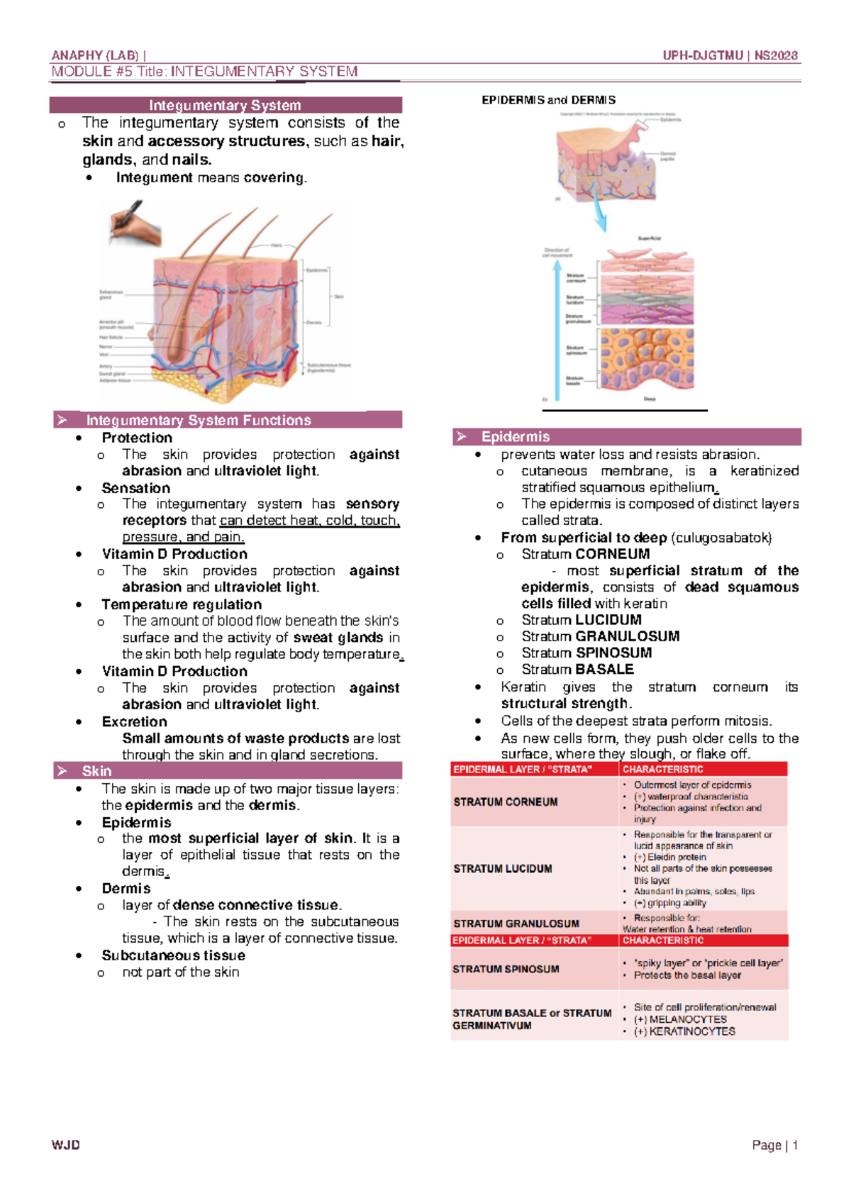 Integumentary System Overview - MODULE #5 Essentials - Studocu