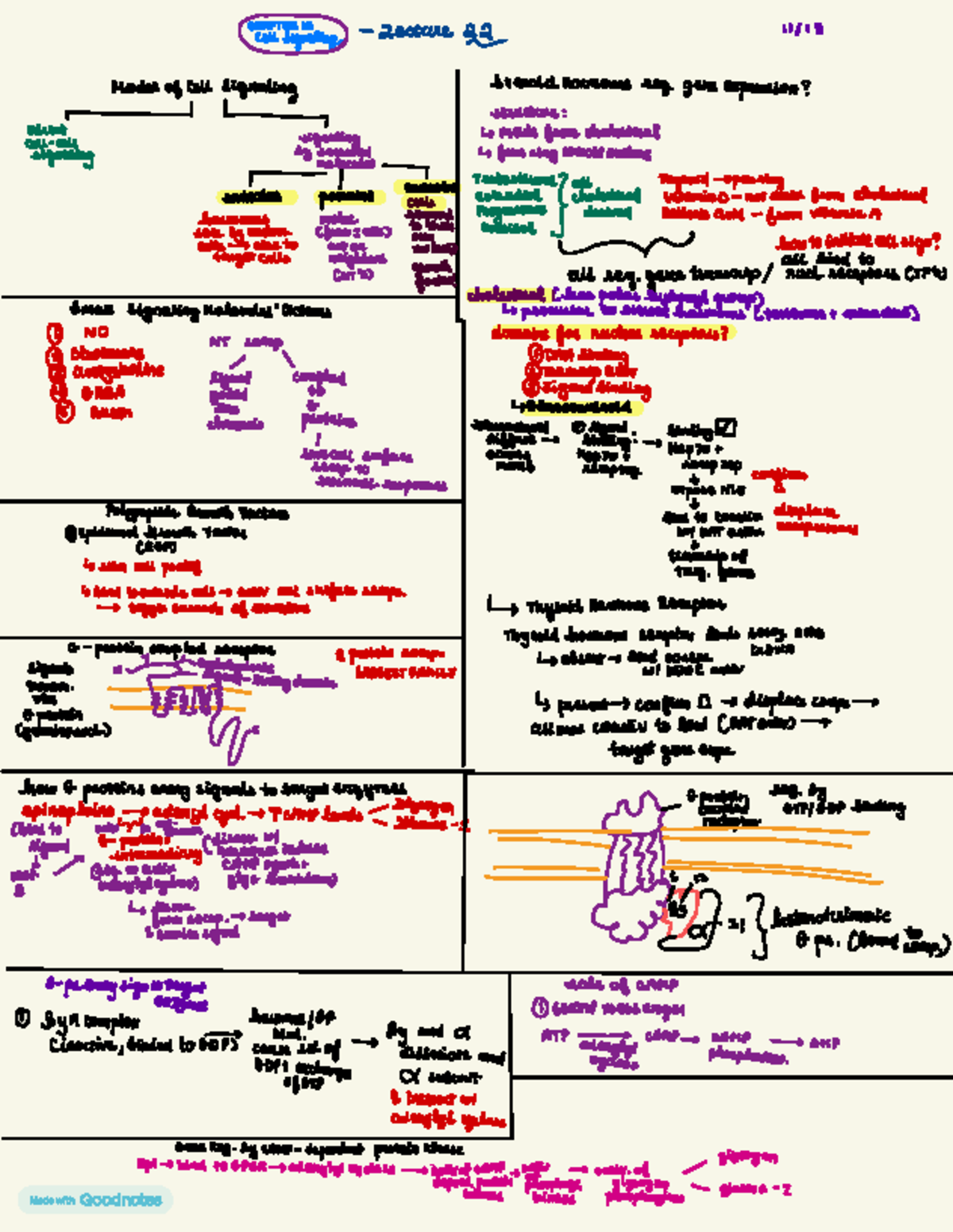 Lecture 22 Notes: Signaling Modes in Cell Communication - Studocu