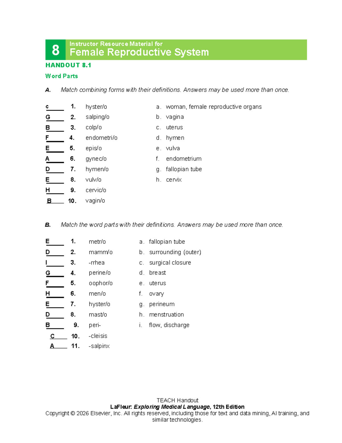 Chapter 8: Female Reproductive System Study Guide and Handouts - Studocu