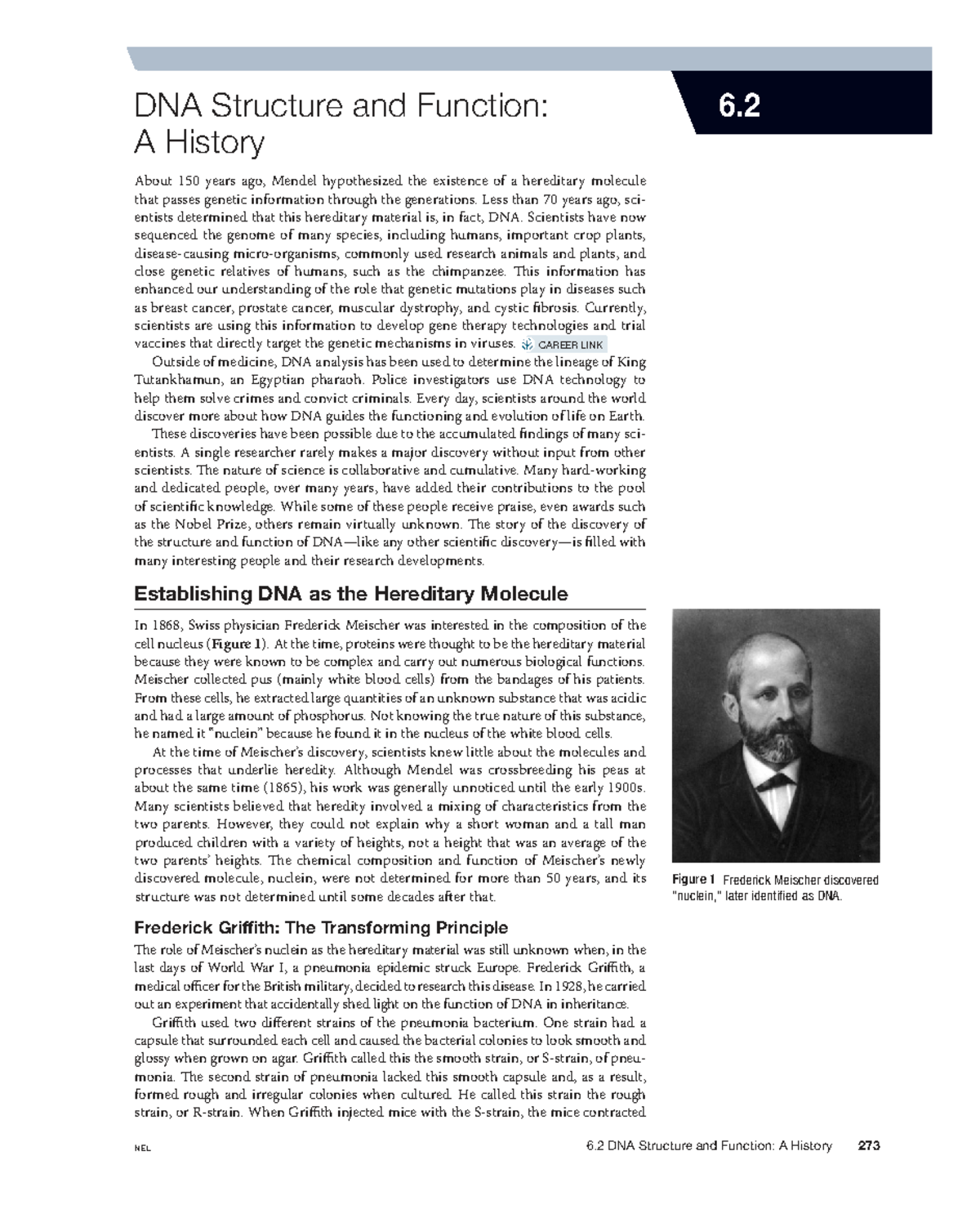 6.2 DNA Structure and Function: Historical Discoveries and Insights ...