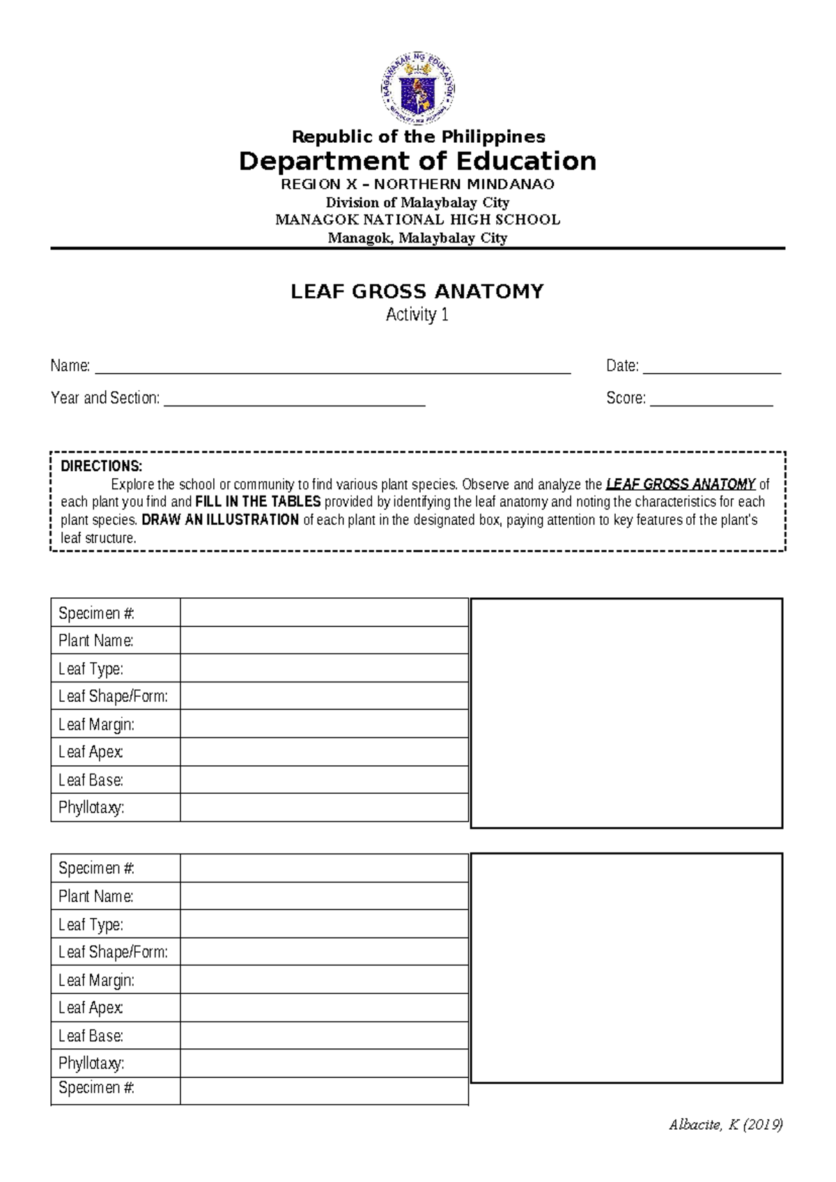 LEAF GROSS ANATOMY Activity Sheet - MANAGOK HIGH SCHOOL - Studocu