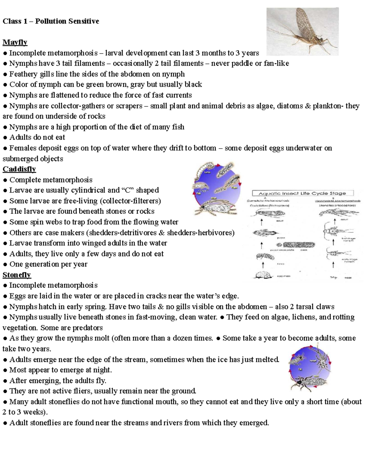 Water Quality Cheat Sheet for Scioly 26: Macroinvertebrate Overview ...