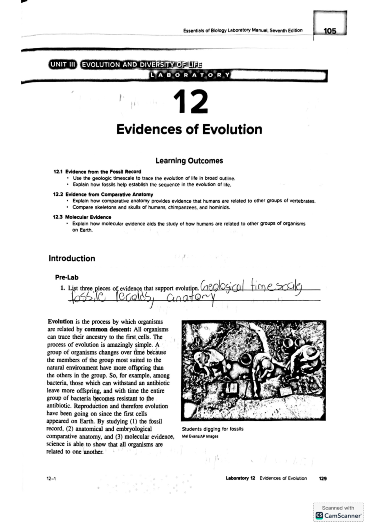 BIO 011 Lab 12: Evidences of Evolution and Fossil Record Analysis - Studocu