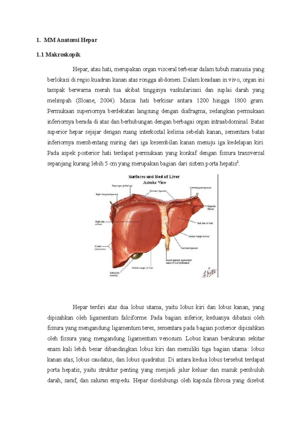 Anatomi dan Fungsi Hepar dalam Patofisiologi Hepatitis A: DIC - Studocu