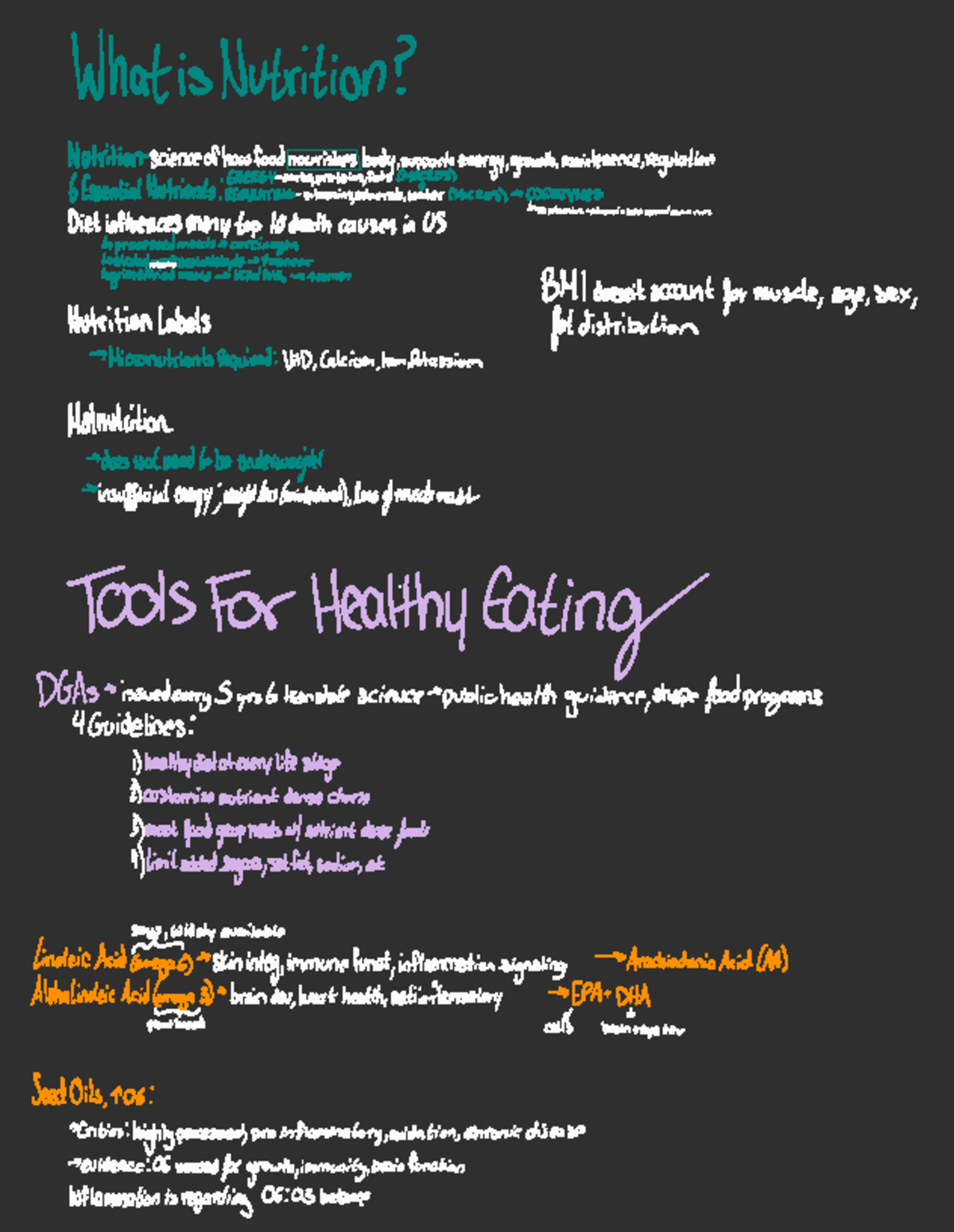 Nutrition 2 - Test Notes on Essential Nutrients and Health - Studocu