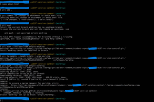 D197 - Version Control PA - D197 - Version Control Template Step A ...