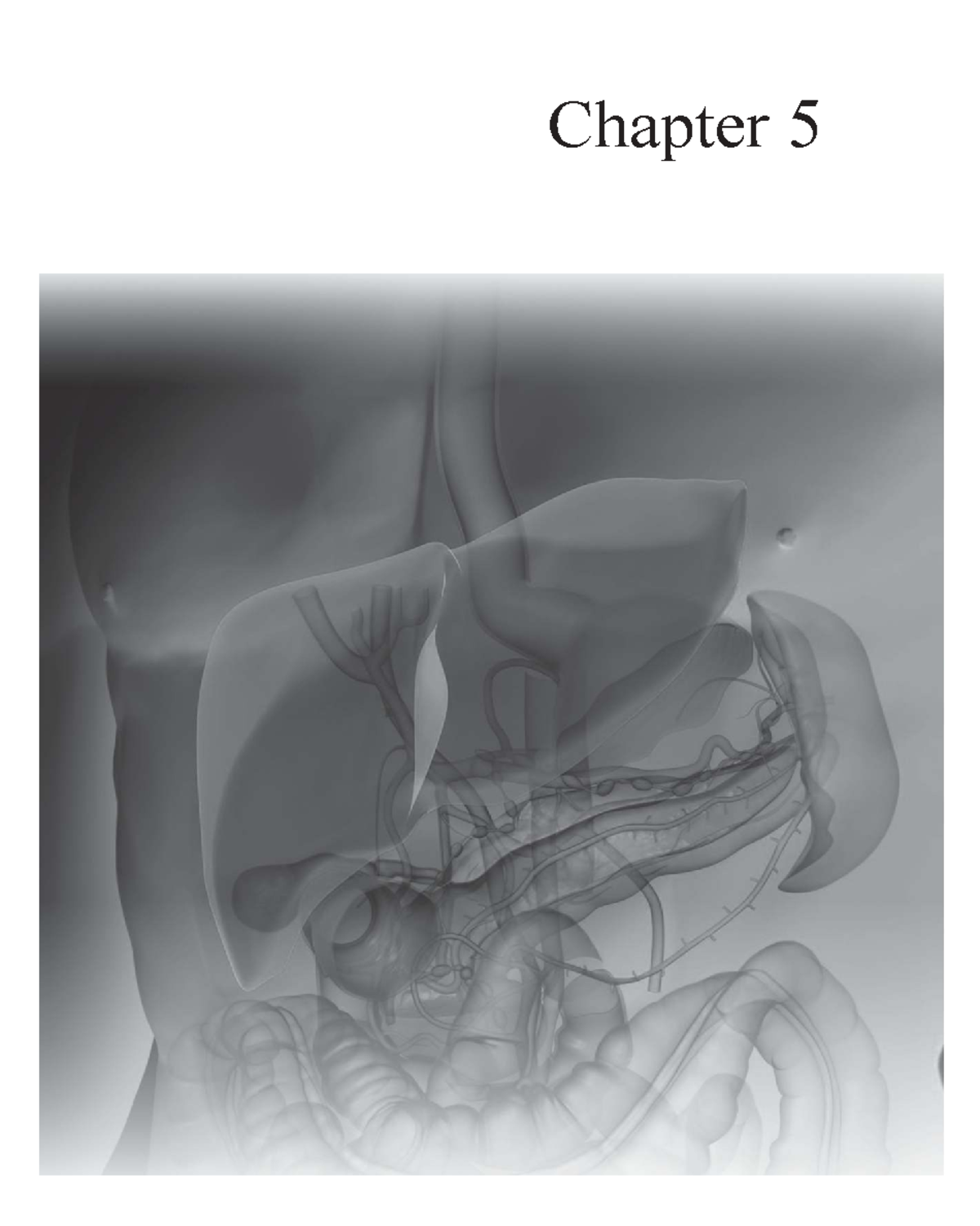 Medical Terminology Quiz & Exercises for Pathology - Ch. 5 - Studocu
