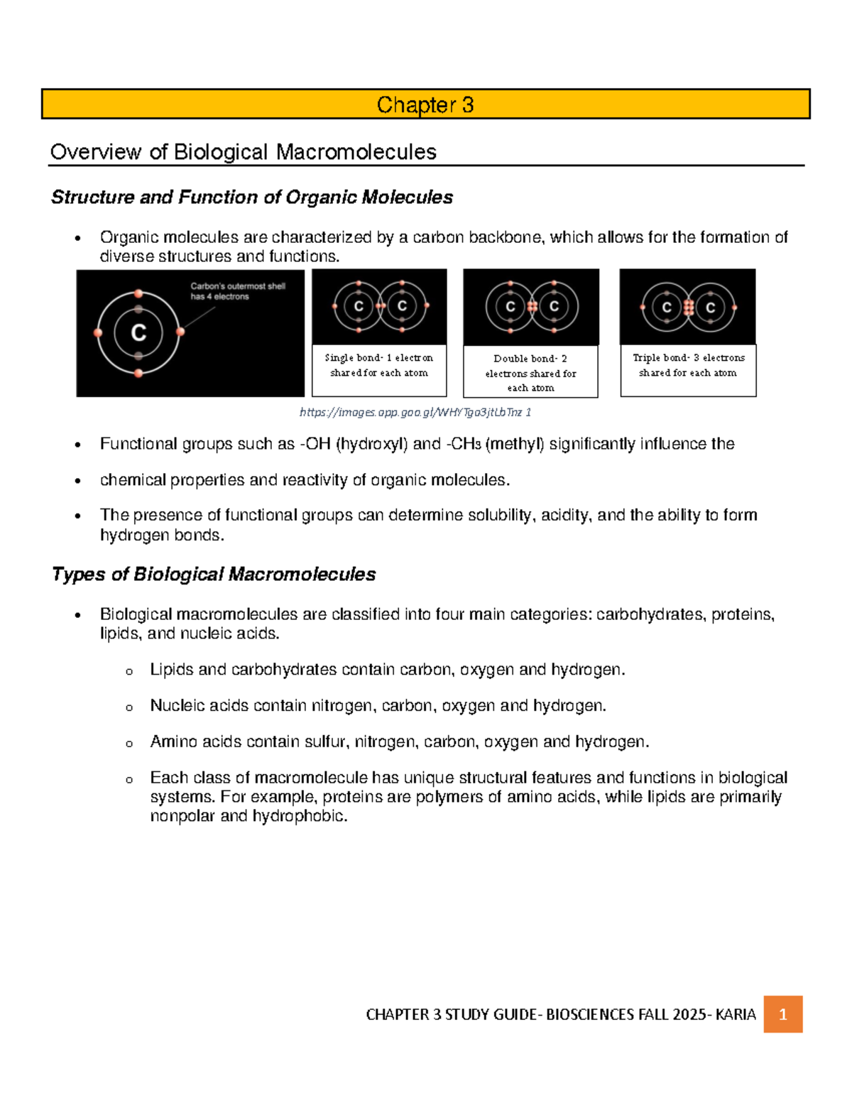 Chapter 3 Study Guide: Biological Macromolecules & Their Functions ...