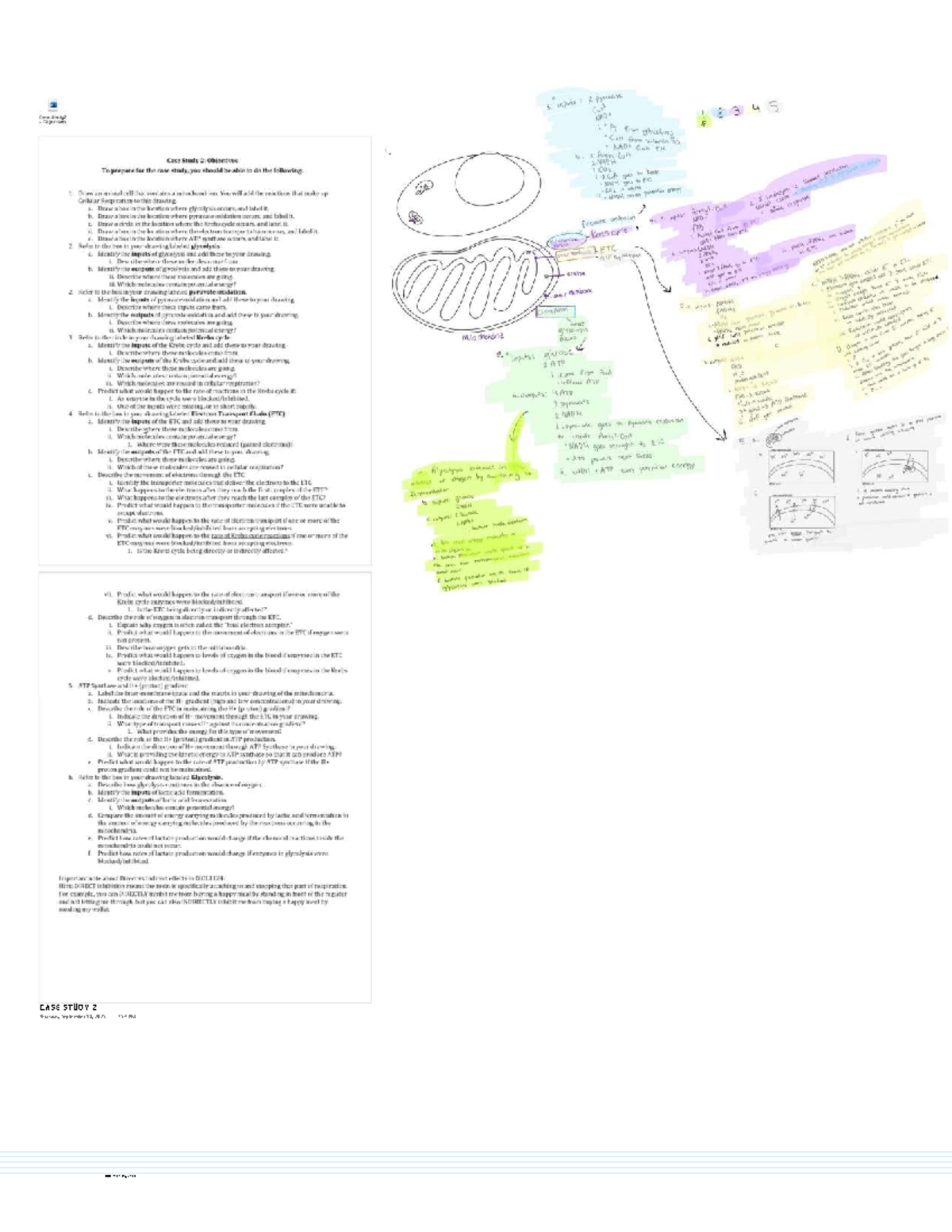 Case study objectives - PSY 1113 - BIO 1124 Page 168 CASE STUDY 2 ...