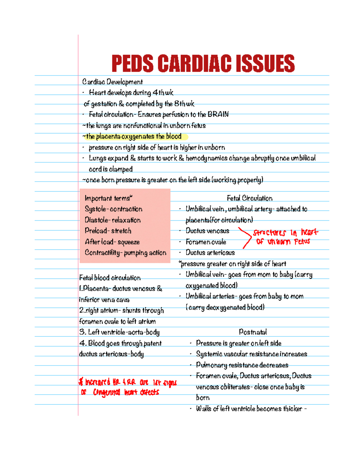 PEDS Cardiac & Hematologic Issues: Development and Management - Studocu