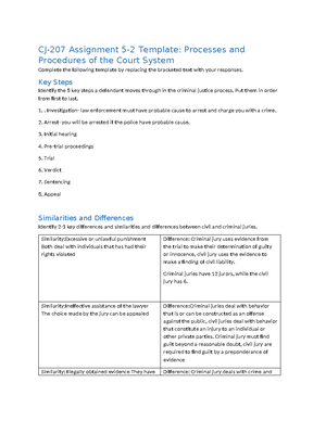 Us-judicial-system the right one - UNDERSTANDING THE U. JUDICIAL SYSTEM ...