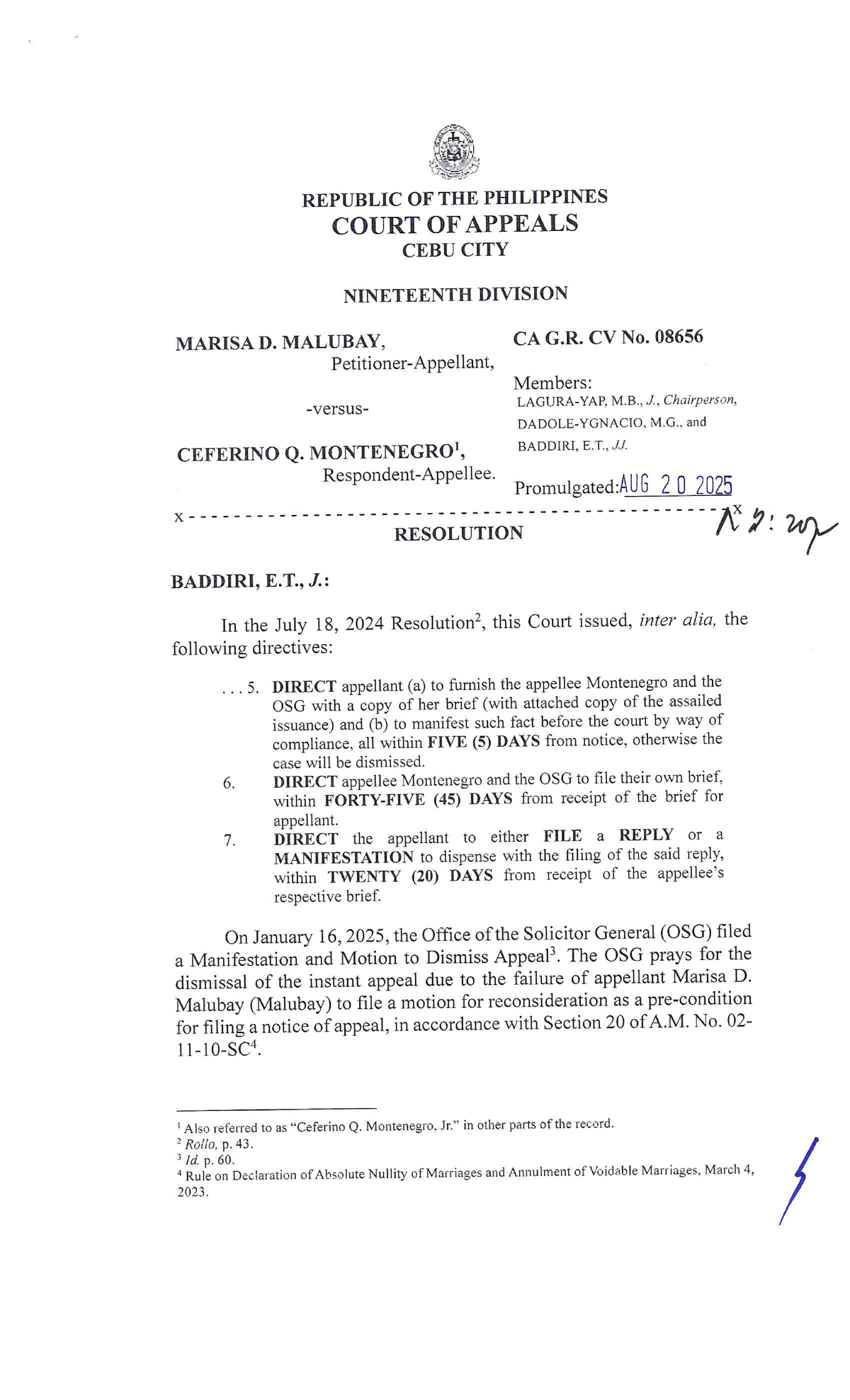 Malubay v. Montenegro: CA G.R. CV No. 08656 Resolution Summary - Studocu