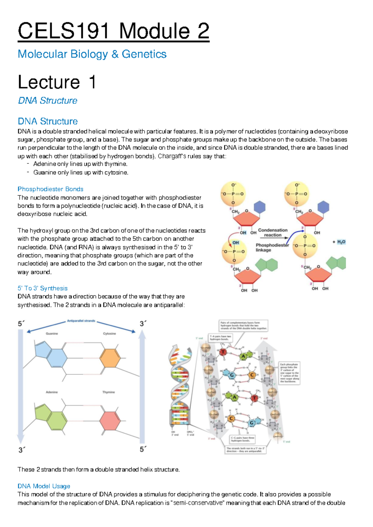 CELS191 Module 2 - Comprehensive Notes on Molecular Biology and ...