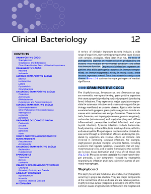 Staphylococcus & Micrococcus Overview: Cocci Characteristics ...