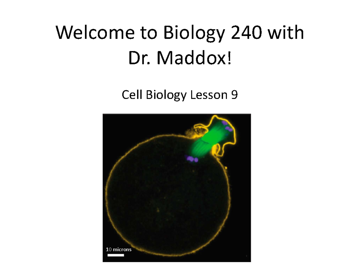Biol 240 Lesson 9a Spr25 pre Class - Welcome to Biology 240 with Dr. Maddox! Cell Biology Lesson ...