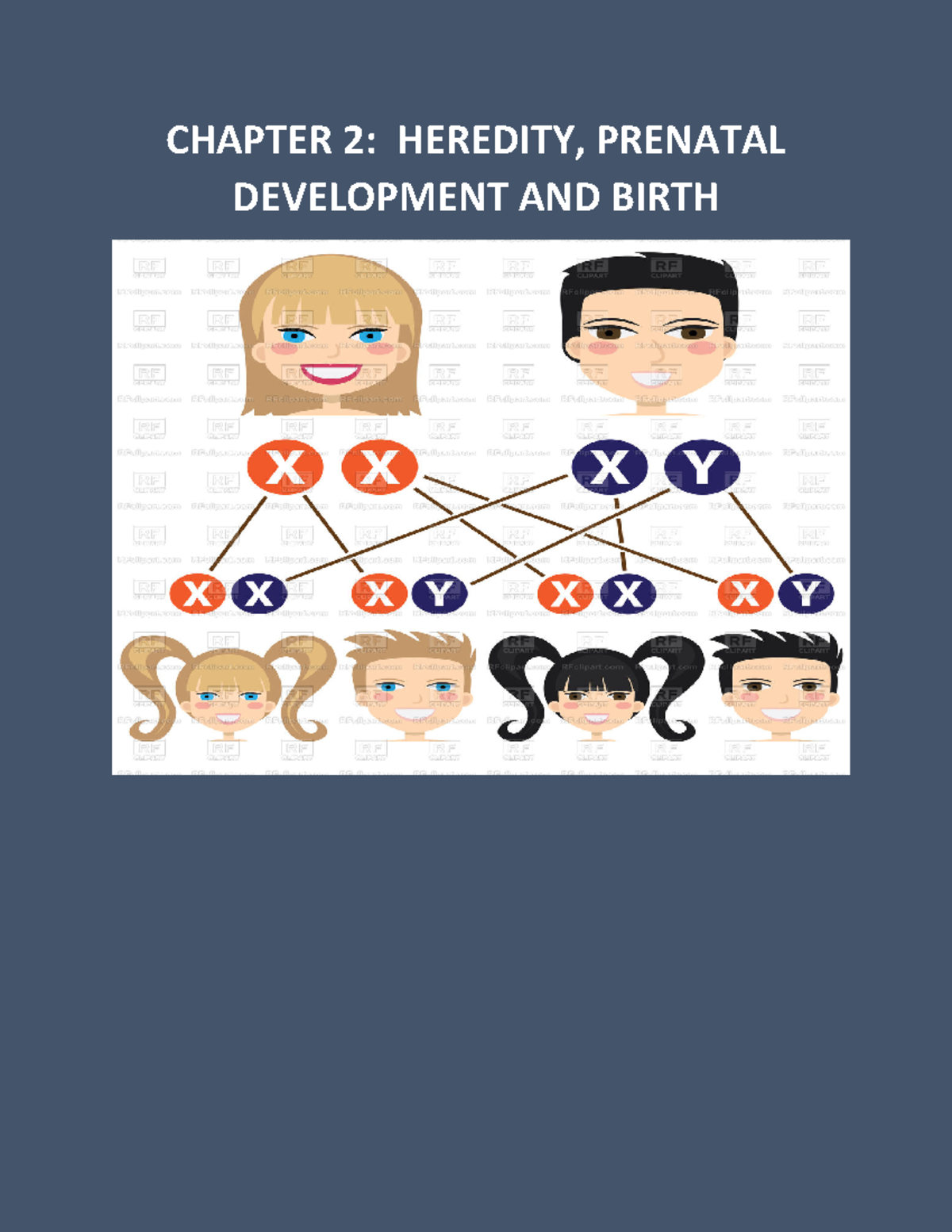 CHAPTER 2: HEREDITY, PRENATAL DEVELOPMENT, AND BIRTH - Studocu