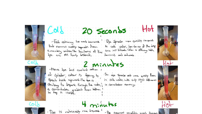 Lab 5: Dye Diffusion in Cold vs. Hot Water Conditions - Studocu