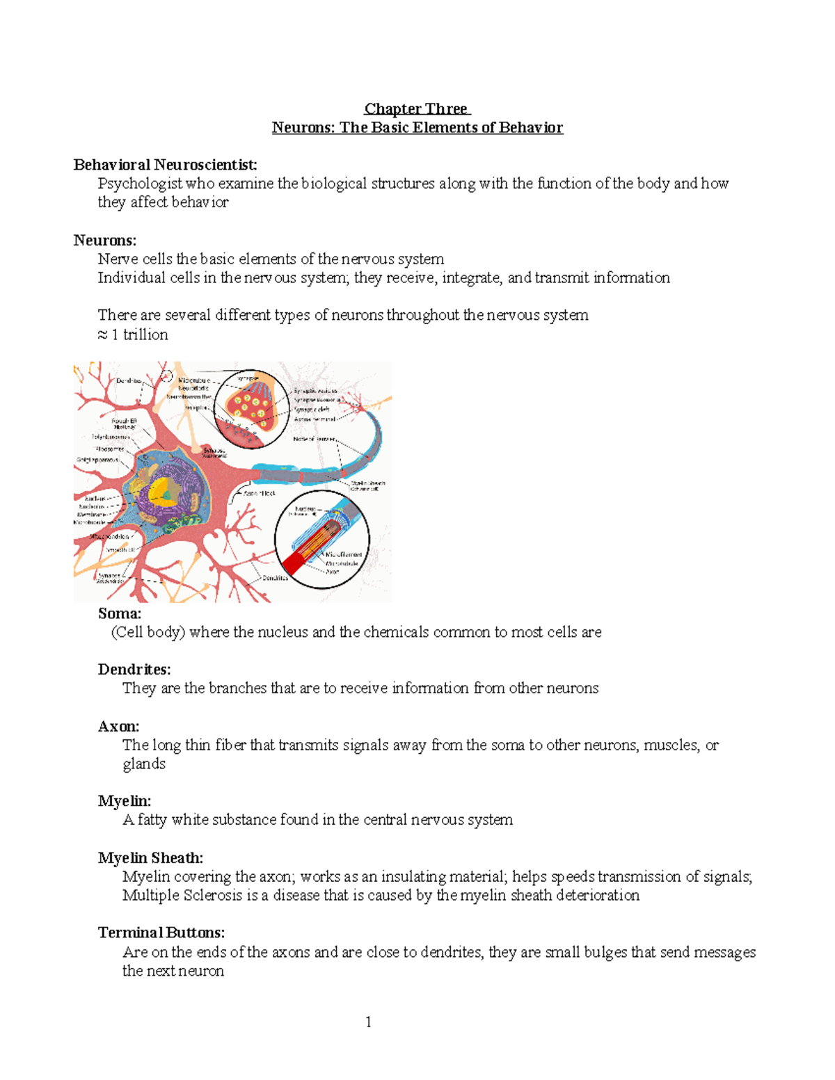 Psyc 101 Chapter 3: Neurons and Brain Structure Overview - Studocu