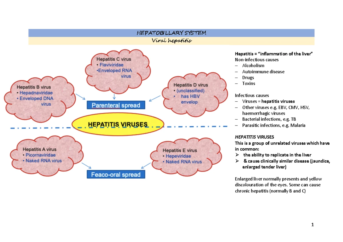 Practice examples - CTG interpretation - INTERPRETATION ...