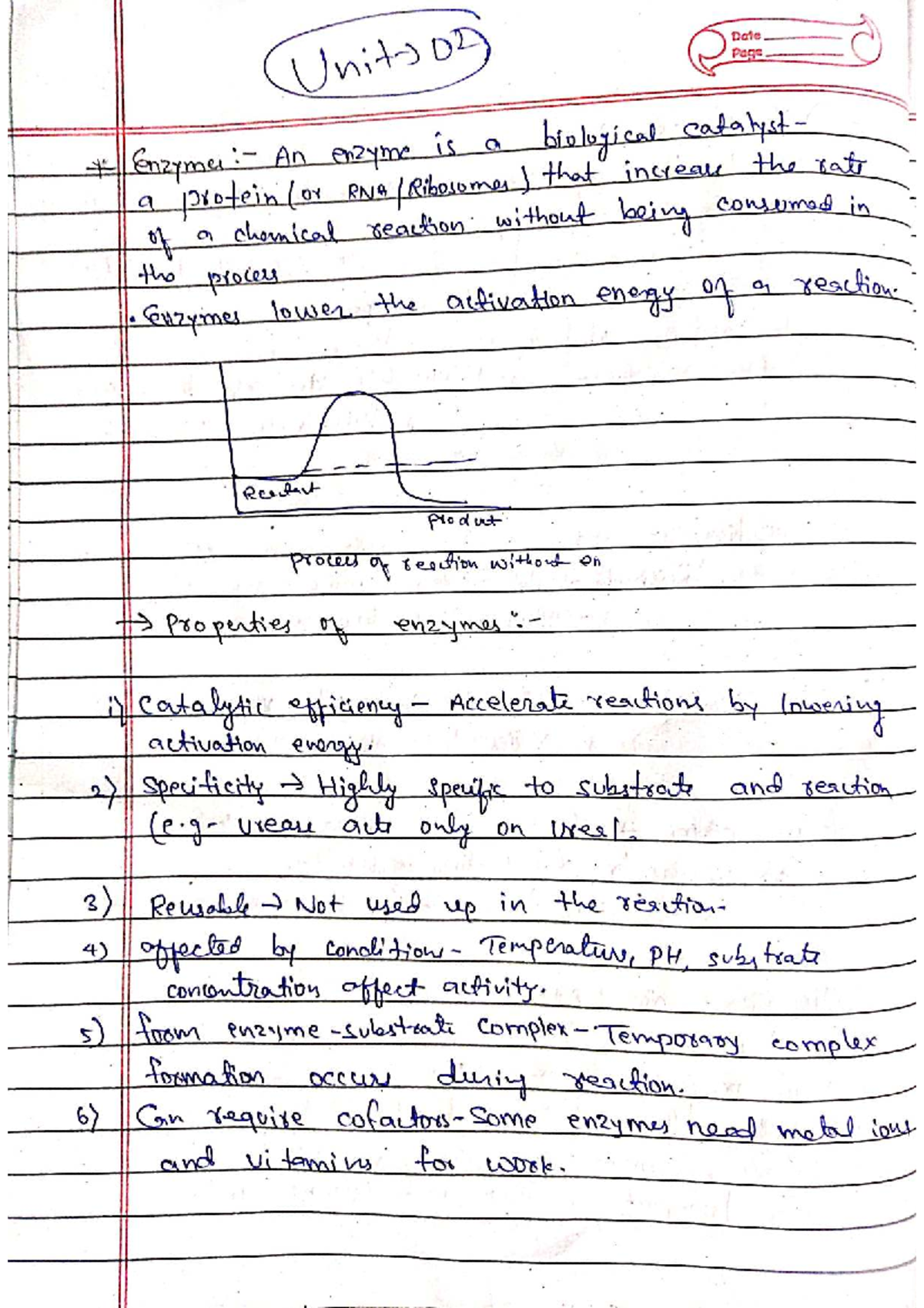 Biochemistry 101: Enzyme Function and Activity Overview - Studocu