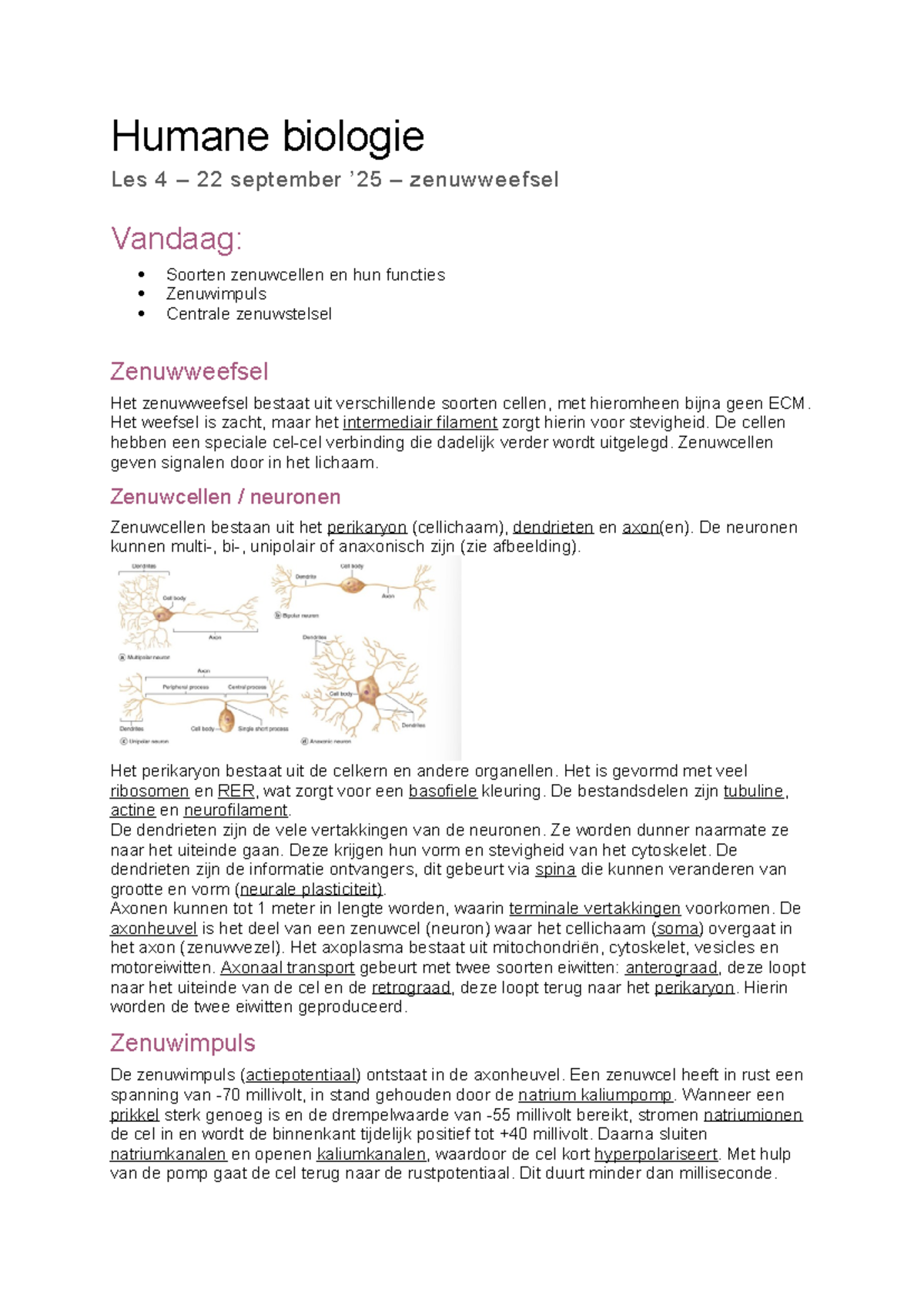 Humane Biologie Les 4: Zenuwweefsel en Functies van Zenuwcellen ...