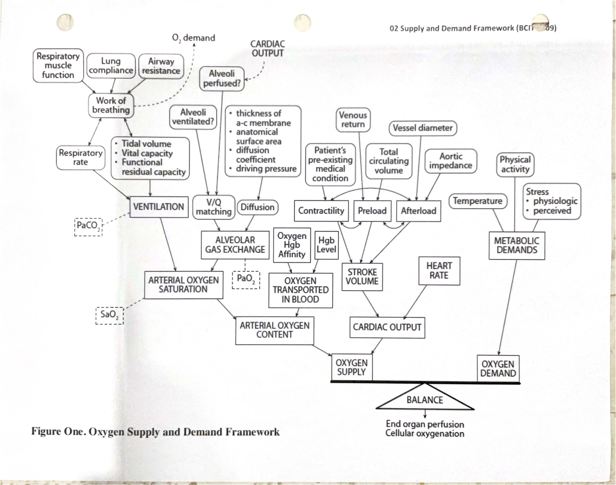 Oxygen Supply and Demand Framework (BCIT 09) Analysis - Studocu