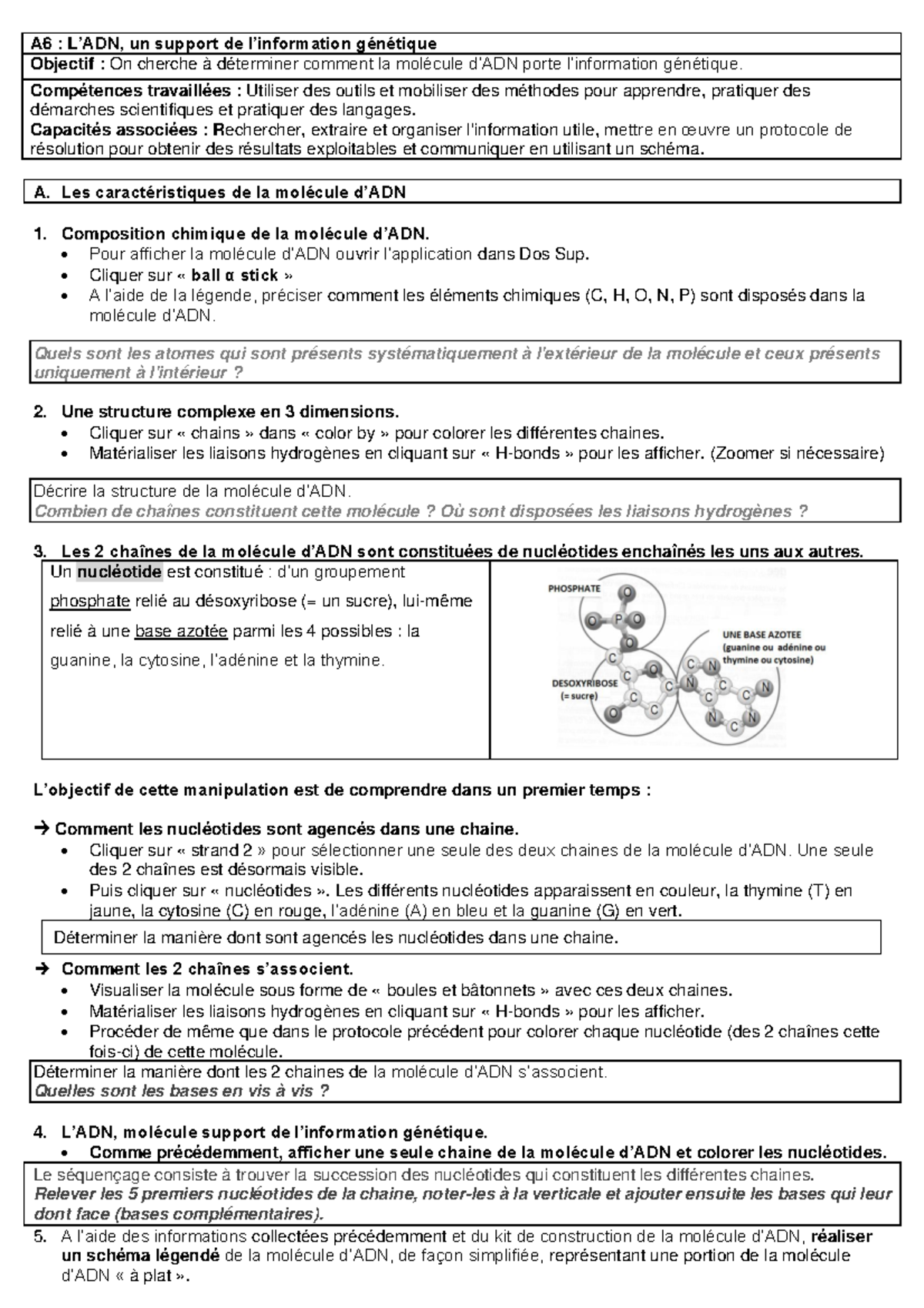 A6 ADN - Exercice sur la structure et la fonction de l'ADN - Studocu