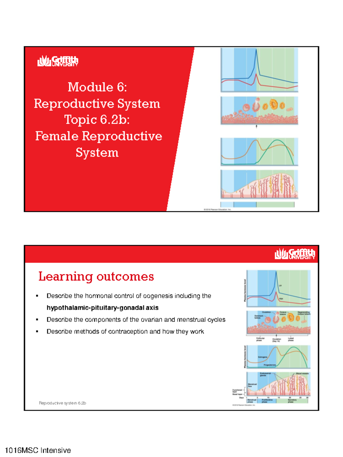 1016MSC 6 - Lecture notes - Module 6: Reproductive System Topic 6 ...