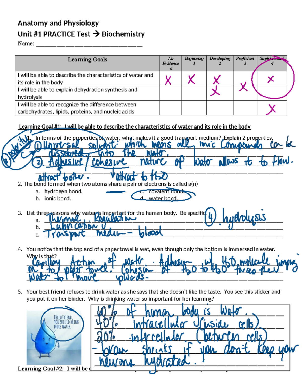 Anatomy & Physiology Unit Biochemistry PRACTICE Test - Nov 2026 - Studocu