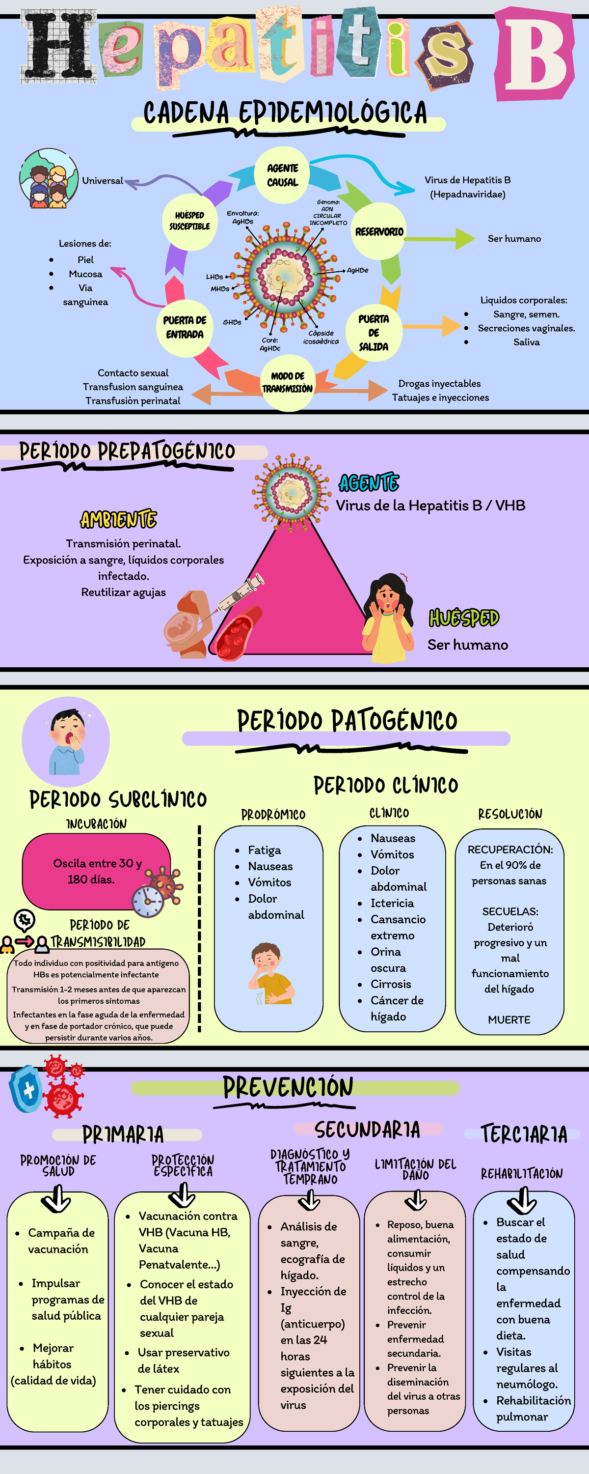 Infografía sobre Hepatitis B: Agente Causal y Transmisión - Studocu