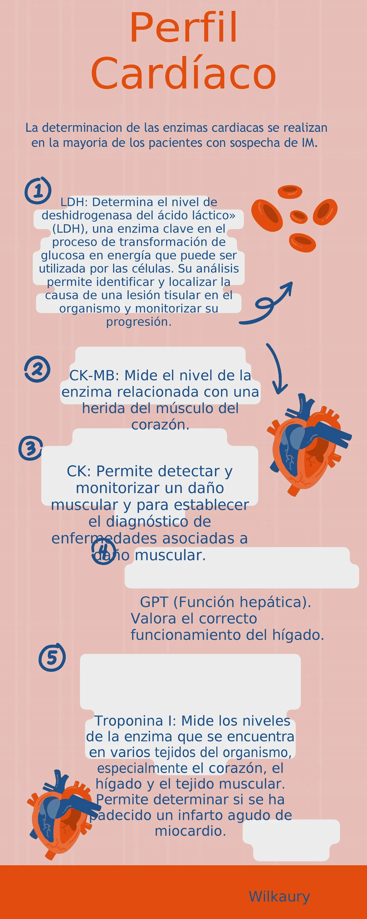 Perfil Cardíaco: Infografía de Marcadores QC2 - Studocu