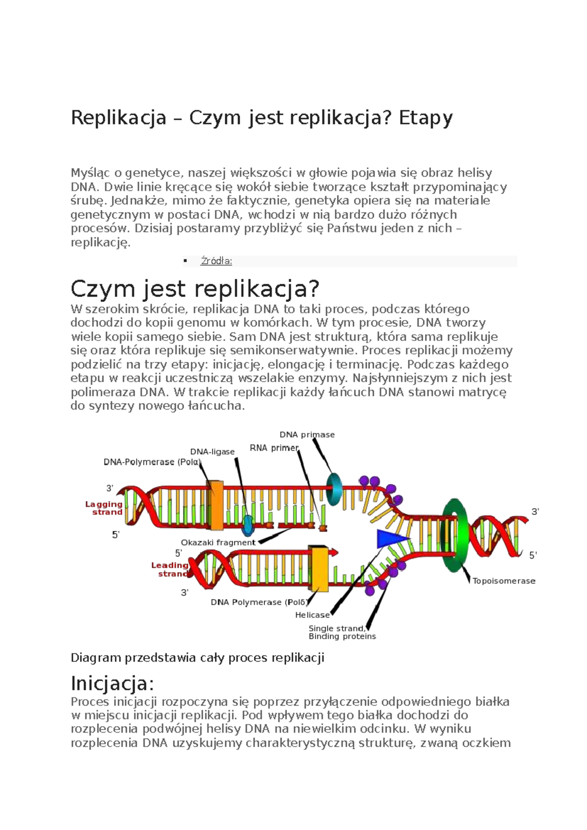 Replikacja DNA: Proces, Etapy i Znaczenie w Genetyce - Studocu