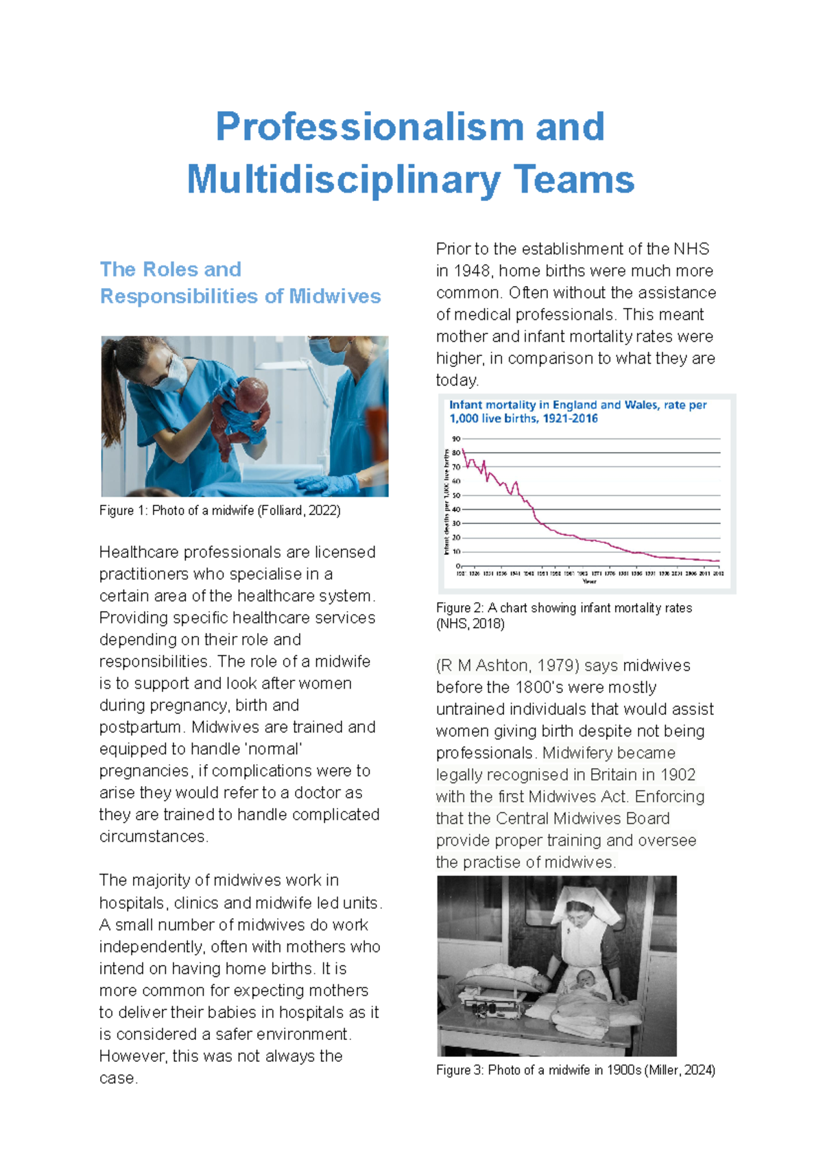 Unit 8: Professionalism and MDTs in Midwifery Care and Development ...