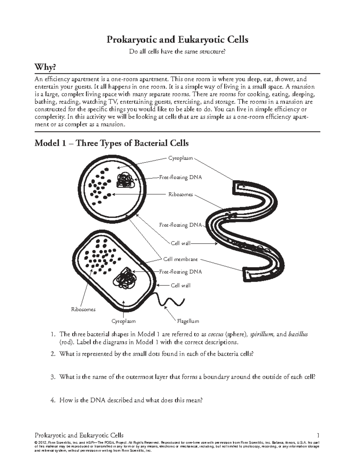 Pogil - Prokaryotic and Eukaryotic Cells: Structure and Function ...