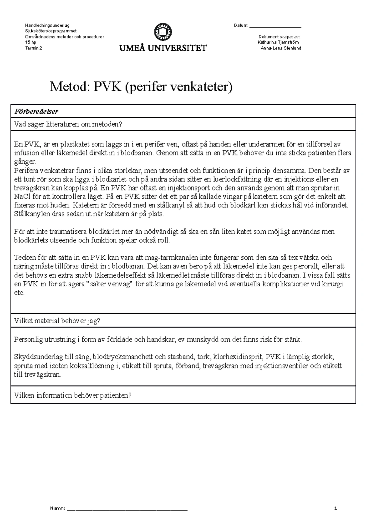 VIPS-modell för omvårdnadsdokumentation - VIPS - modell för ...