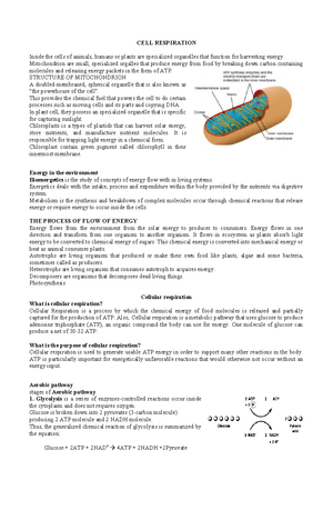 2024 DFOT STEMazing guidelines - Enclosure No.___ to DepEd Memorandum ...