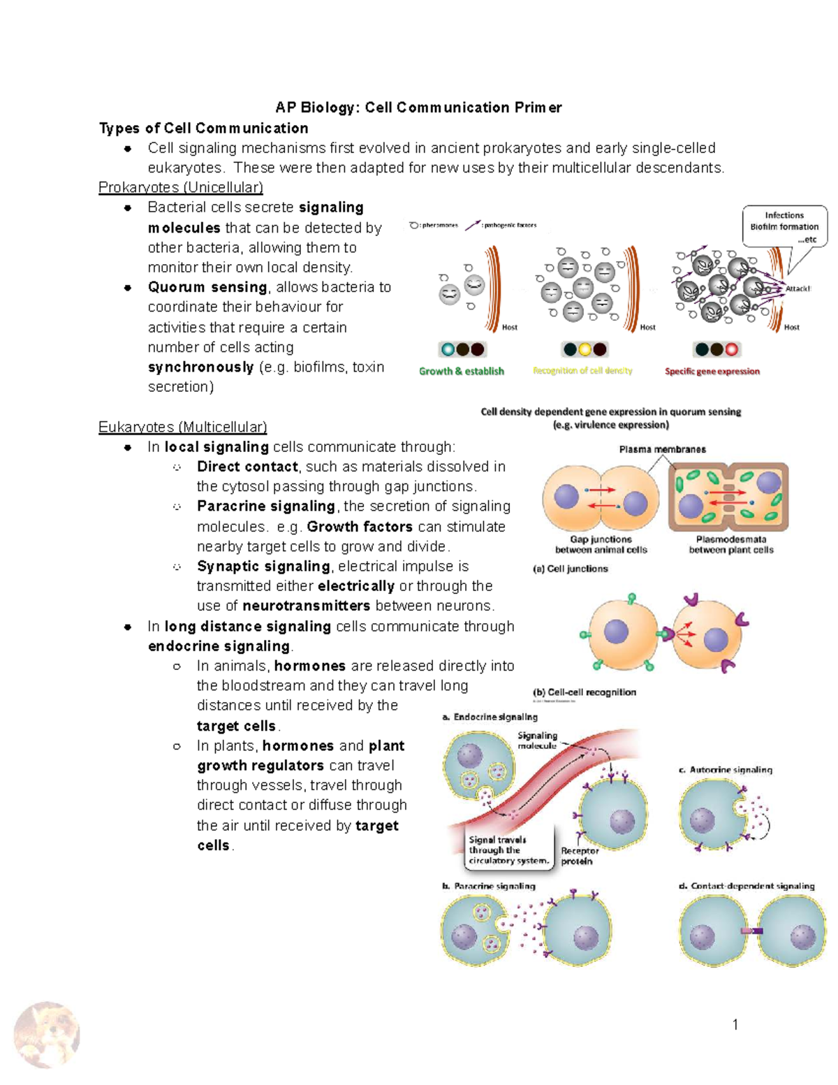 AP Biology: Cell Communication Primer and Signal Transduction Overview ...