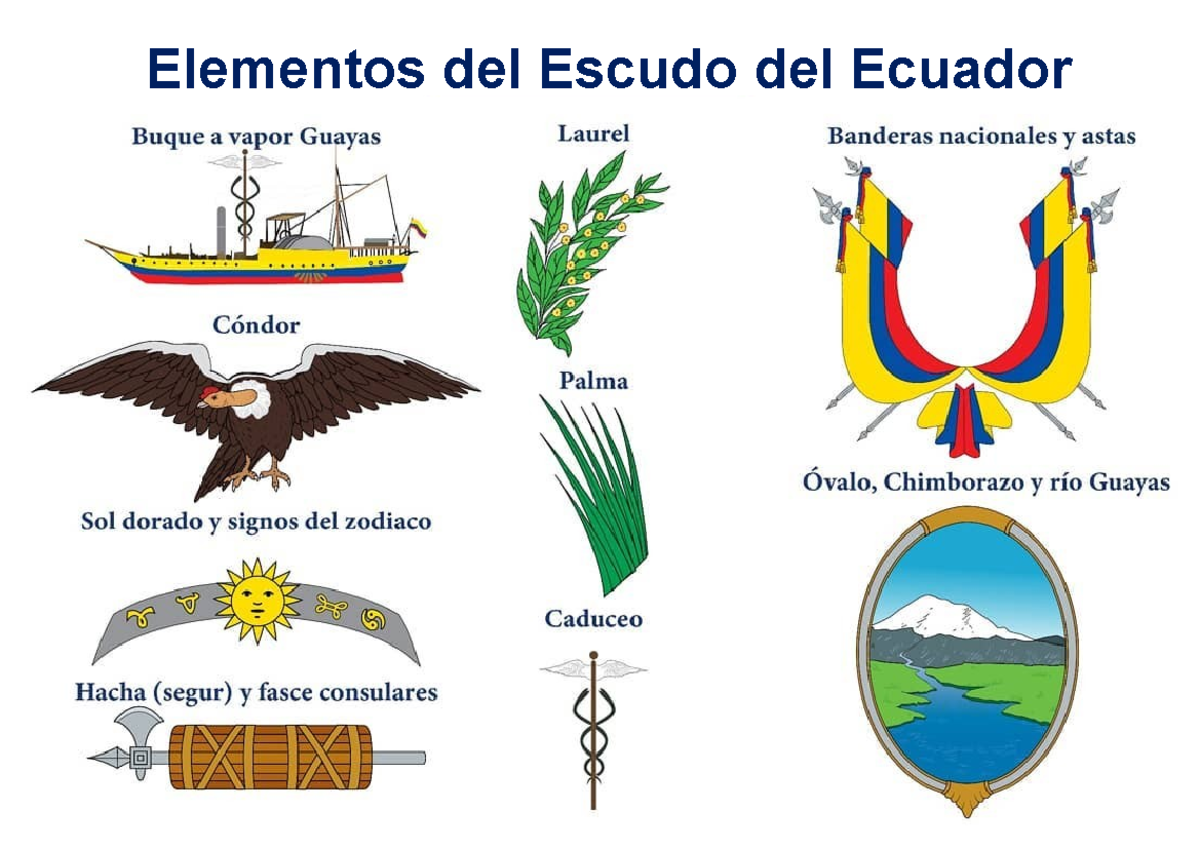 Elementos del Escudo del Ecuador - Fisiopatologia - Studocu