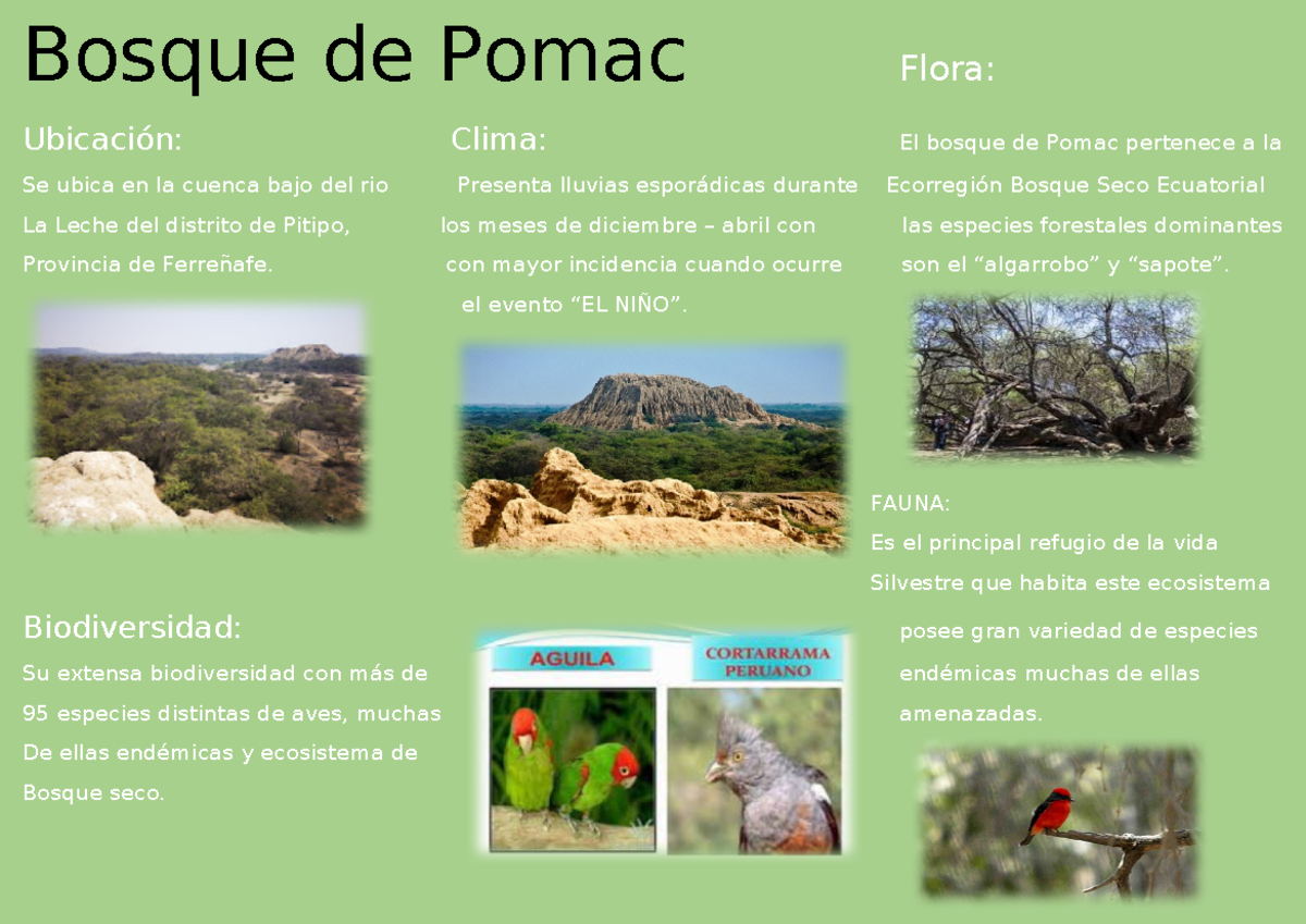 Bosque de Pomac: Flora y Fauna de Ecorregión Bosque Seco - Studocu