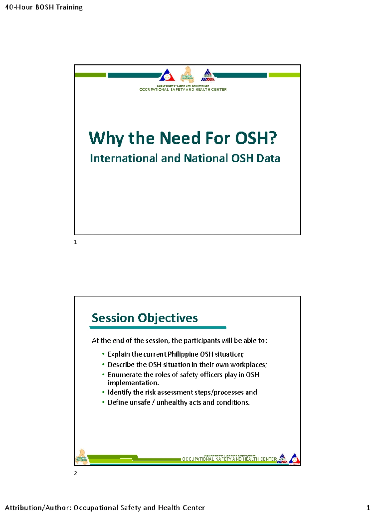 OSH Program Template - Occupational Health and Safety - BOSH ...