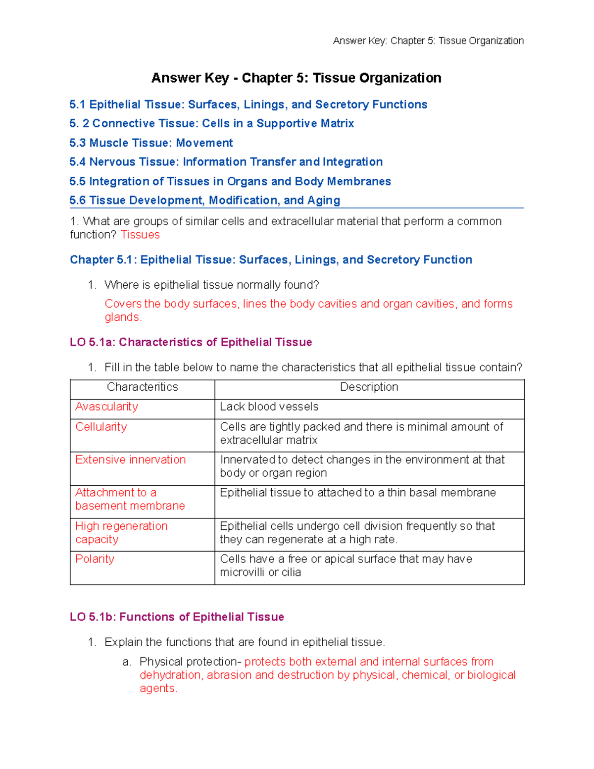 Tissue Organization: Chapter 5 Answer Key on Connective, Muscle, and ...
