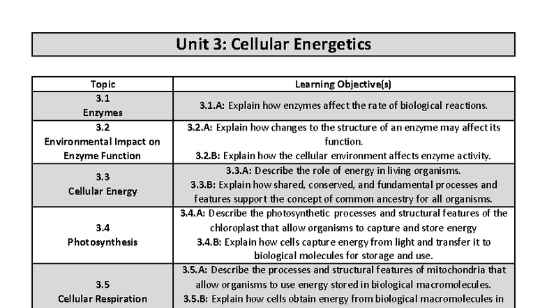 Unit 3: Cellular Energetics - Enzymes, Photosynthesis & Respiration ...