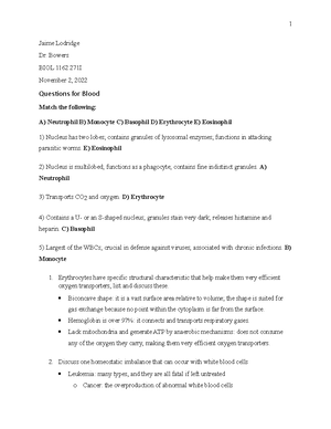 Blood Vessels Part 2 - LAB - IN-LAB EXERCISES: 55 Points for labeling ...