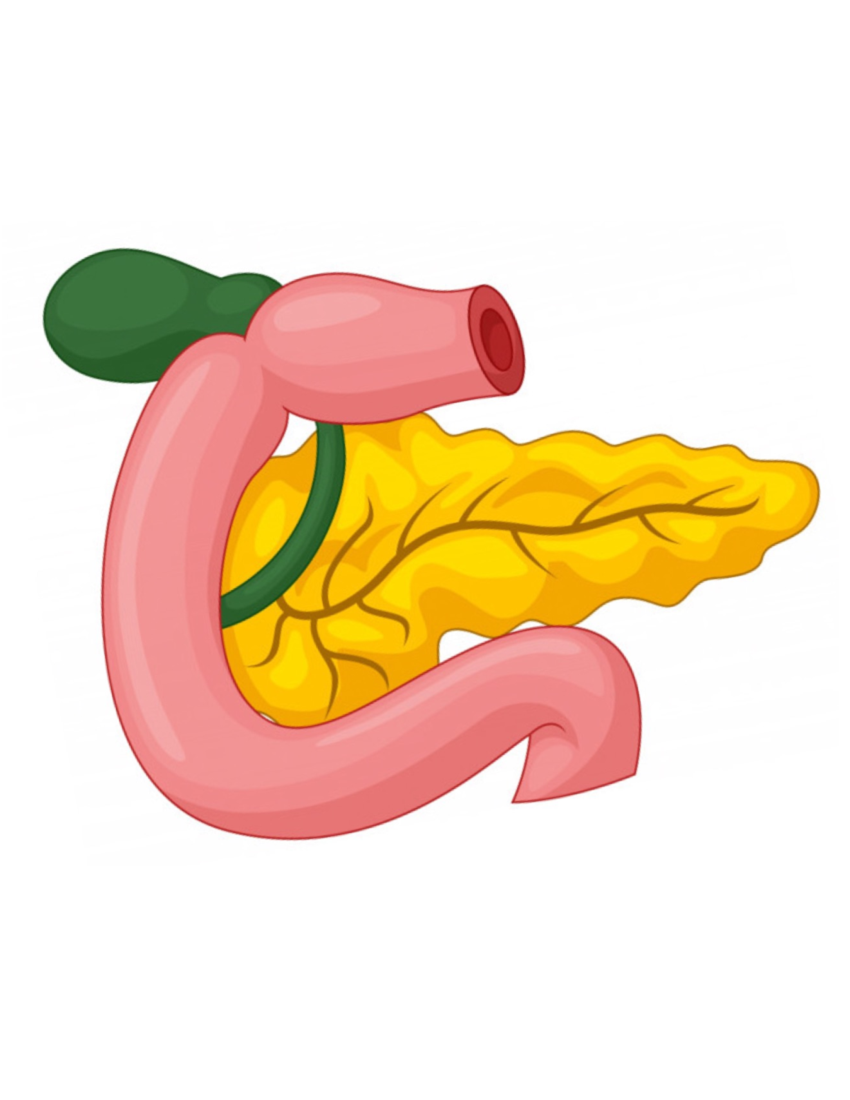 Endocrine System Disorders - ACTIVE LEARNING TEMPLATES System Disorder ...