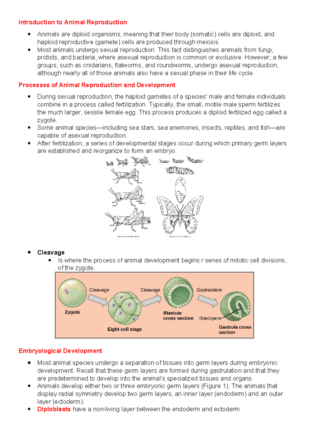 Module 10: Understanding Animal Reproduction and Development - Studocu