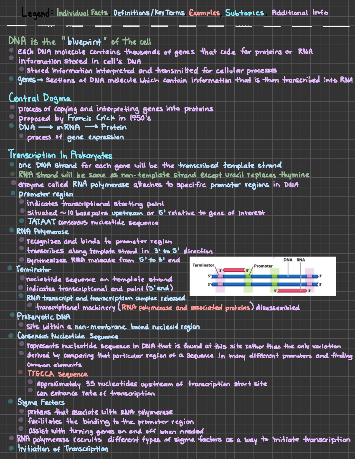 Theme 2 Module 1 - Summary notes - ~ Zenc : Individual Facts ...