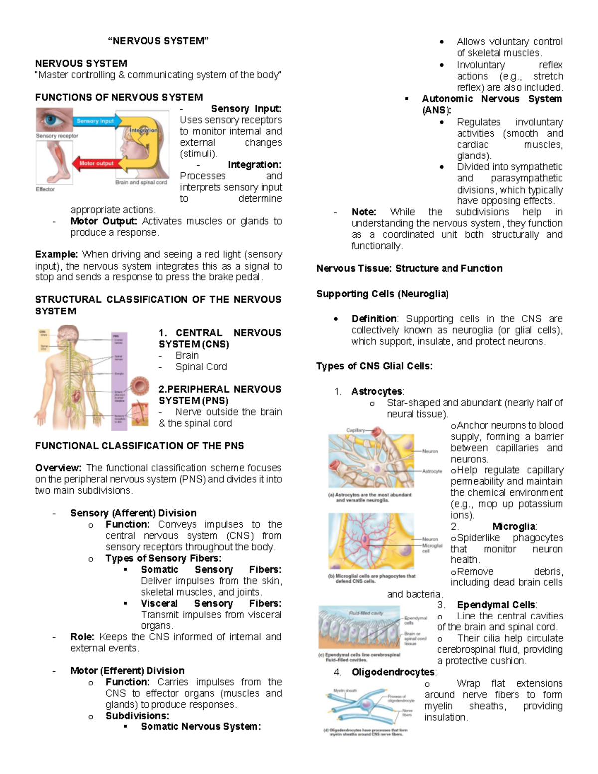 Nervous- System- Notes - “NERVOUS SYSTEM” NERVOUS SYSTEM “Master ...